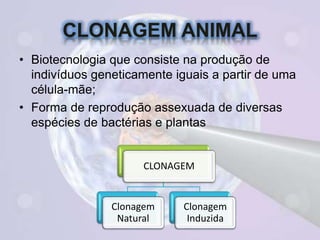 Clonagem animal | PPTX