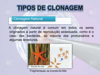 Clonagem animal | PPTX
