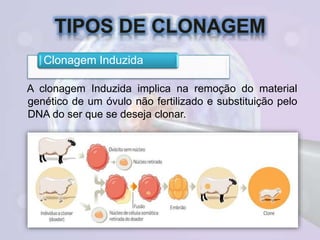 Clonagem animal | PPTX
