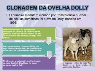 Clonagem animal | PPTX