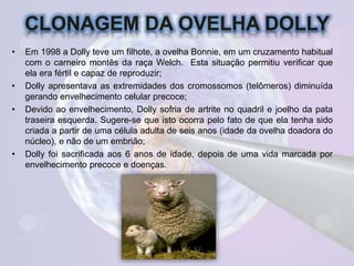 Clonagem animal | PPTX