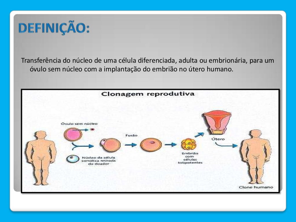 Clonagem Terapeutica E Reprodutiva - LIBRAIN