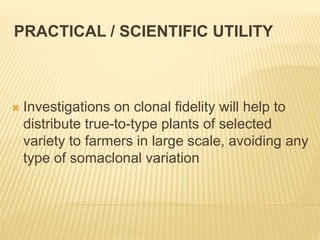 Clonal fidelity testing_of_micropropagated_banana__(musa | PPTX