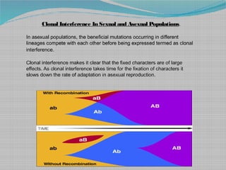 Clonal interfernce in Viral evolution | PPT