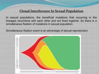 Clonal interfernce in Viral evolution | PPT