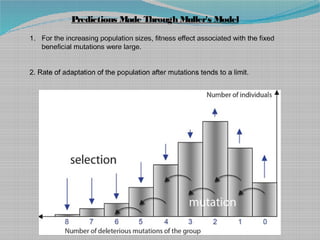 Clonal interfernce in Viral evolution | PPT