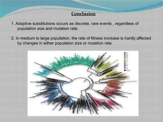Clonal interfernce in Viral evolution | PPT