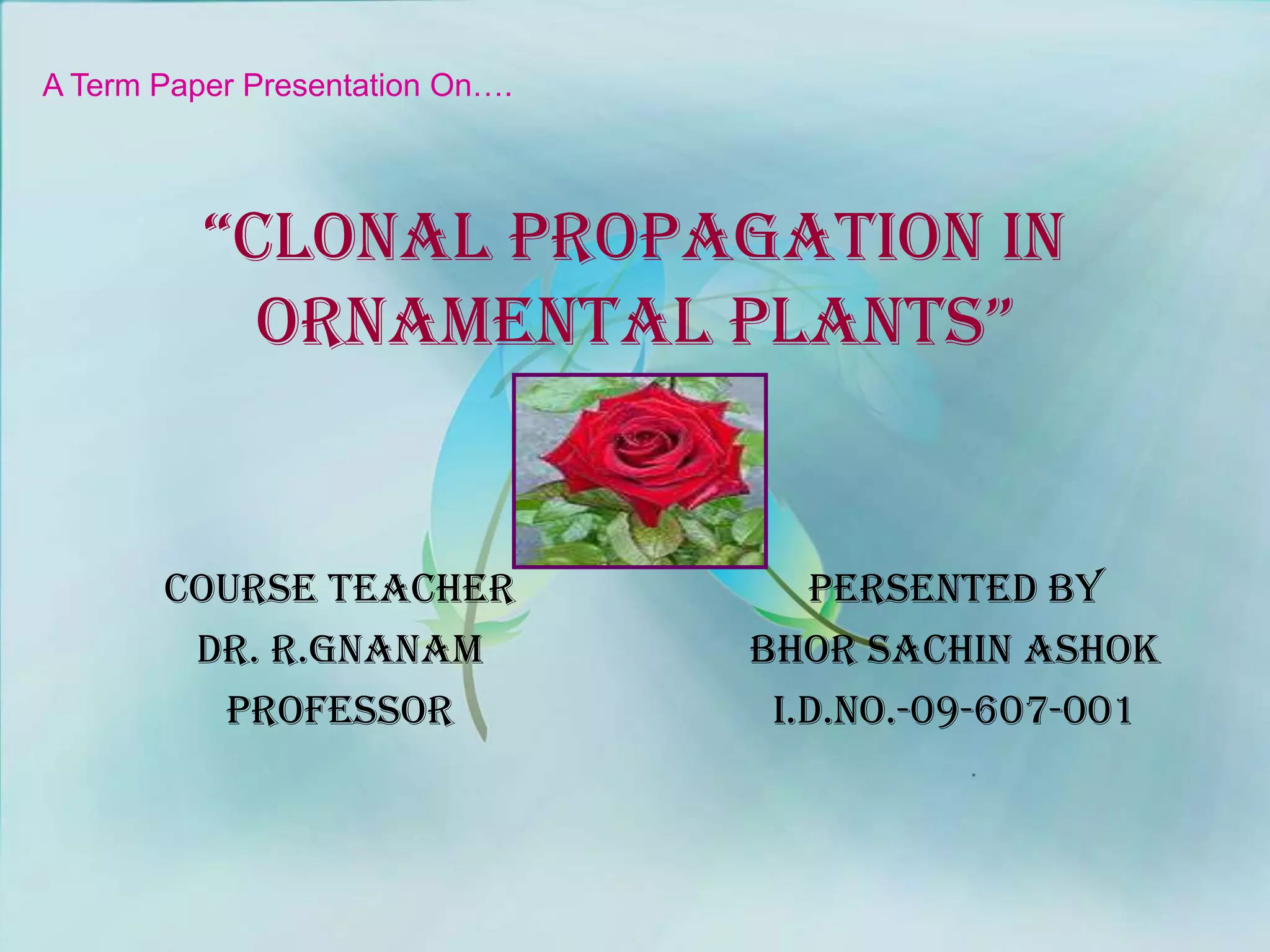 Clonal propagation in ornamental plants | PPTX