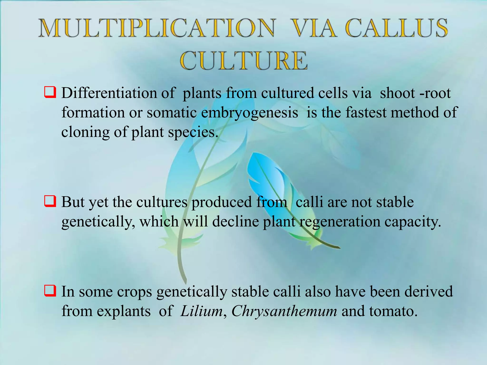 Clonal propagation in ornamental plants | PPTX