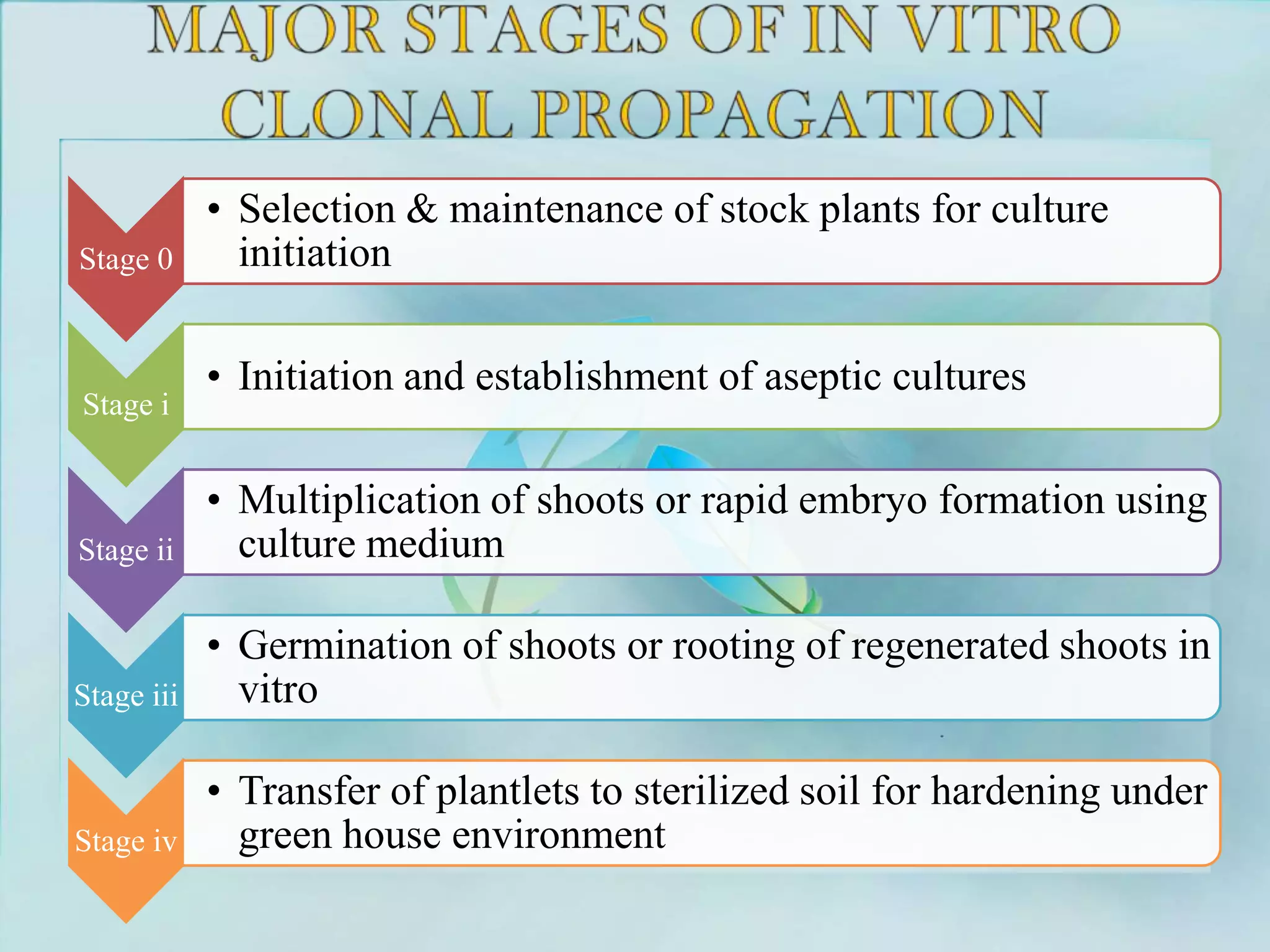 Clonal propagation in ornamental plants | PPTX