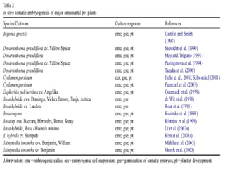 Clonal propagation in ornamental plants | PPTX
