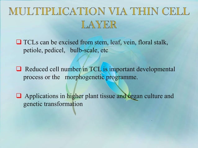 Clonal propagation in ornamental plants | PPTX | Gardening | Home & Garden