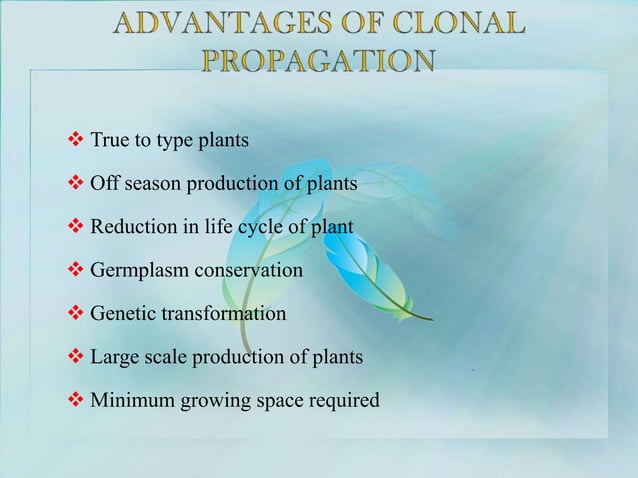 Clonal propagation in ornamental plants | PPTX | Gardening | Home & Garden