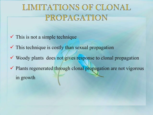 Clonal propagation in ornamental plants | PPTX | Gardening | Home & Garden