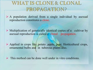 Clonal propagation in ornamental plants | PPTX
