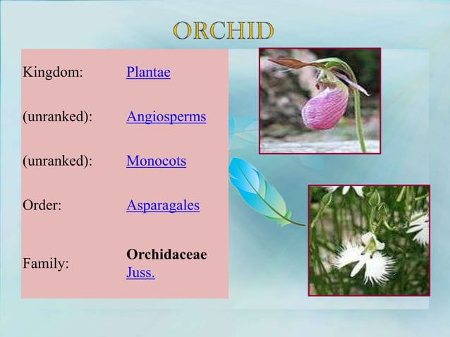 Clonal propagation in ornamental plants | PPTX | Gardening | Home & Garden