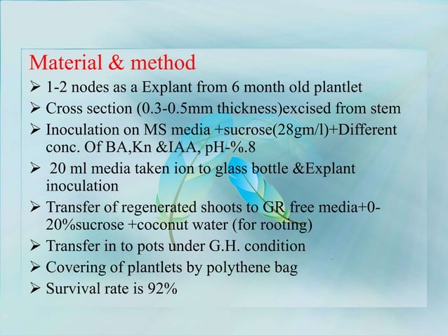 Clonal propagation in ornamental plants | PPTX | Gardening | Home & Garden