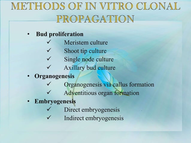 Clonal propagation in ornamental plants | PPTX | Gardening | Home & Garden
