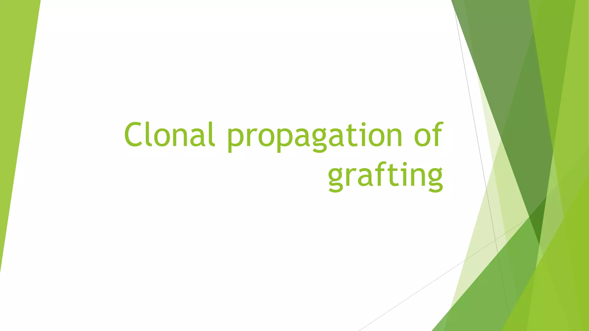 Clonal propagation of grafting.pptx