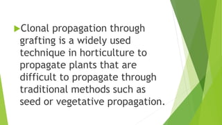 Clonal propagation of grafting.pptx