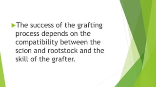 Clonal propagation of grafting.pptx