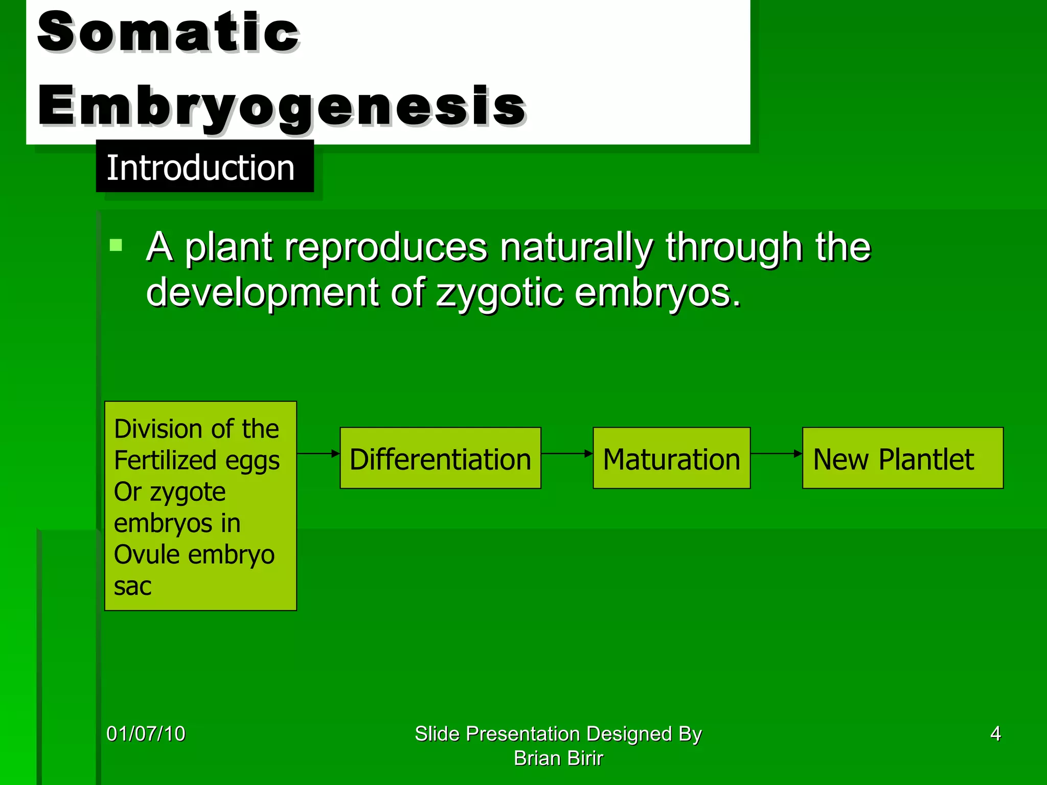 Clonal propagation tissueculture | PPT
