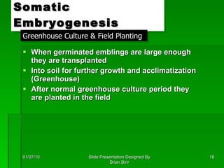 Clonal propagation tissueculture | PPT