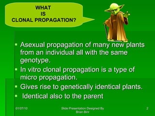 Clonal propagation tissueculture | PPT