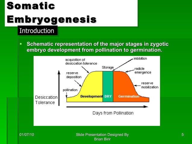 Clonal propagation tissueculture | PPT