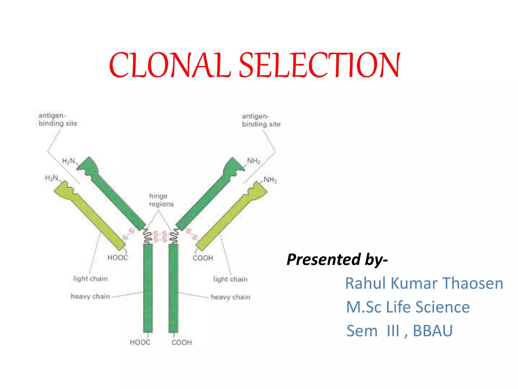 Clonal selection | PPTX