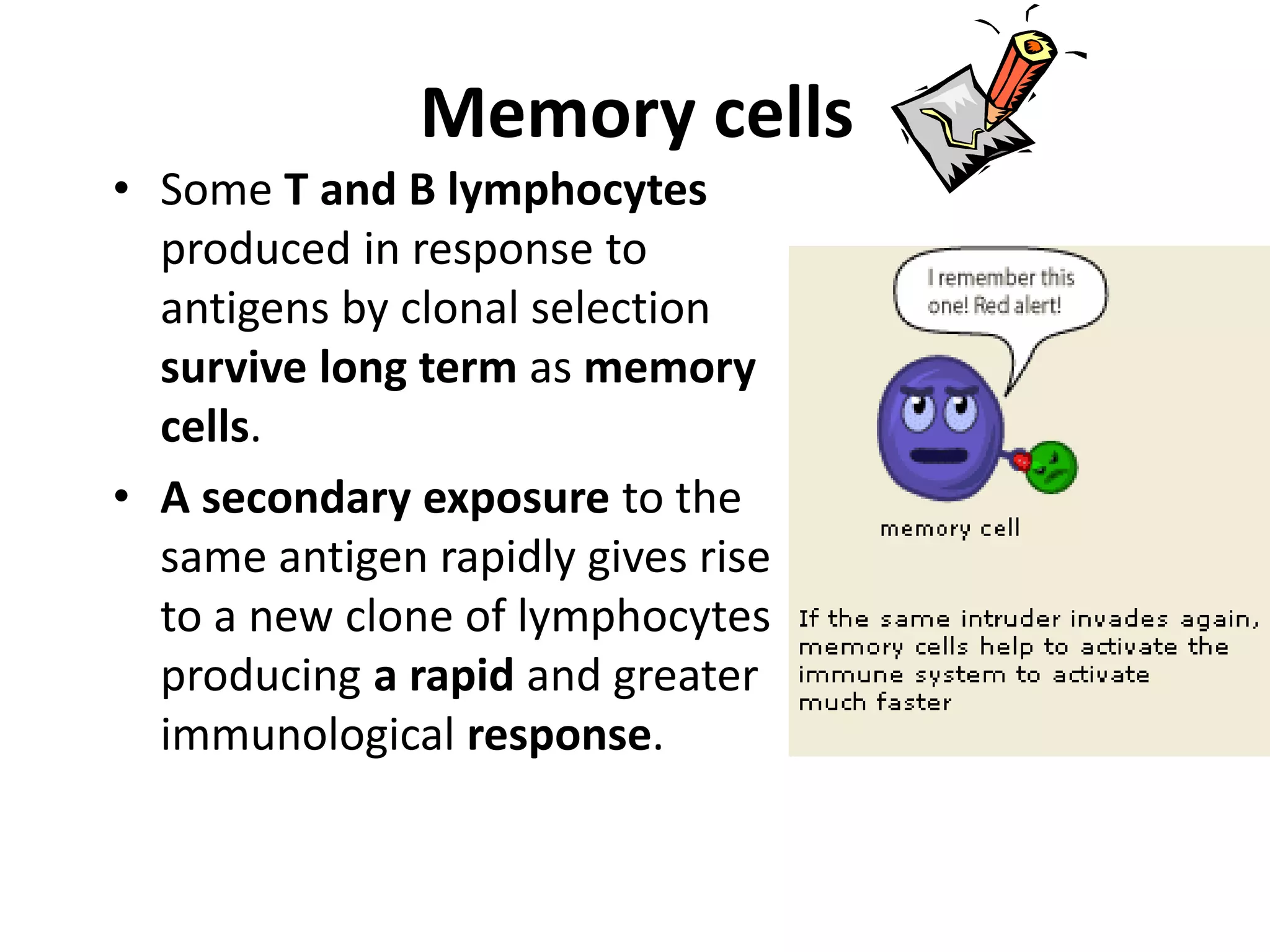 Clonal selection | PPTX | Chemistry | Science
