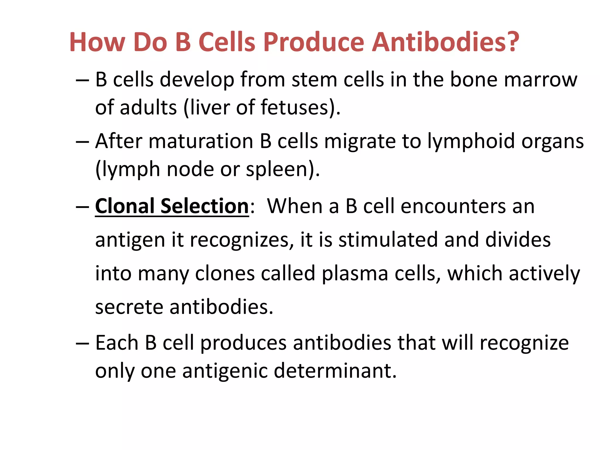 Clonal selection | PPTX