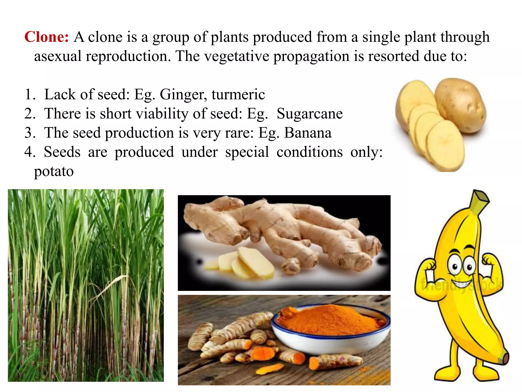 selection in clonally propagated crops assumtions and realities | PPTX