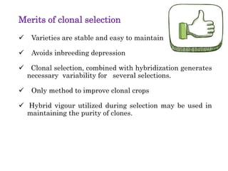 selection in clonally propagated crops assumtions and realities | PPTX