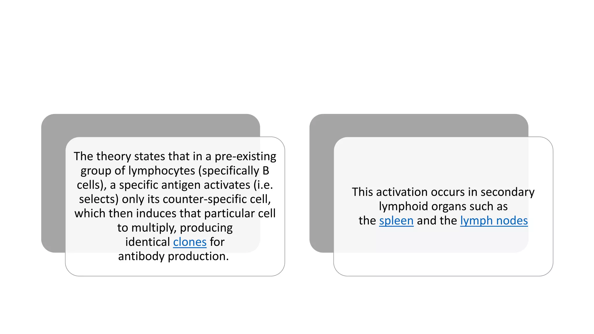 CLONAL SELECTION.PDF.pptx