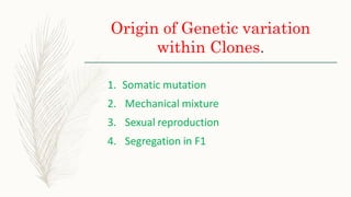 Clonal selection degeneration | PPTX