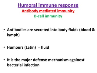 Clonal selection theory | PPTX