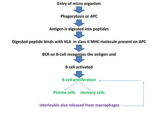 Clonal selection theory | PPTX