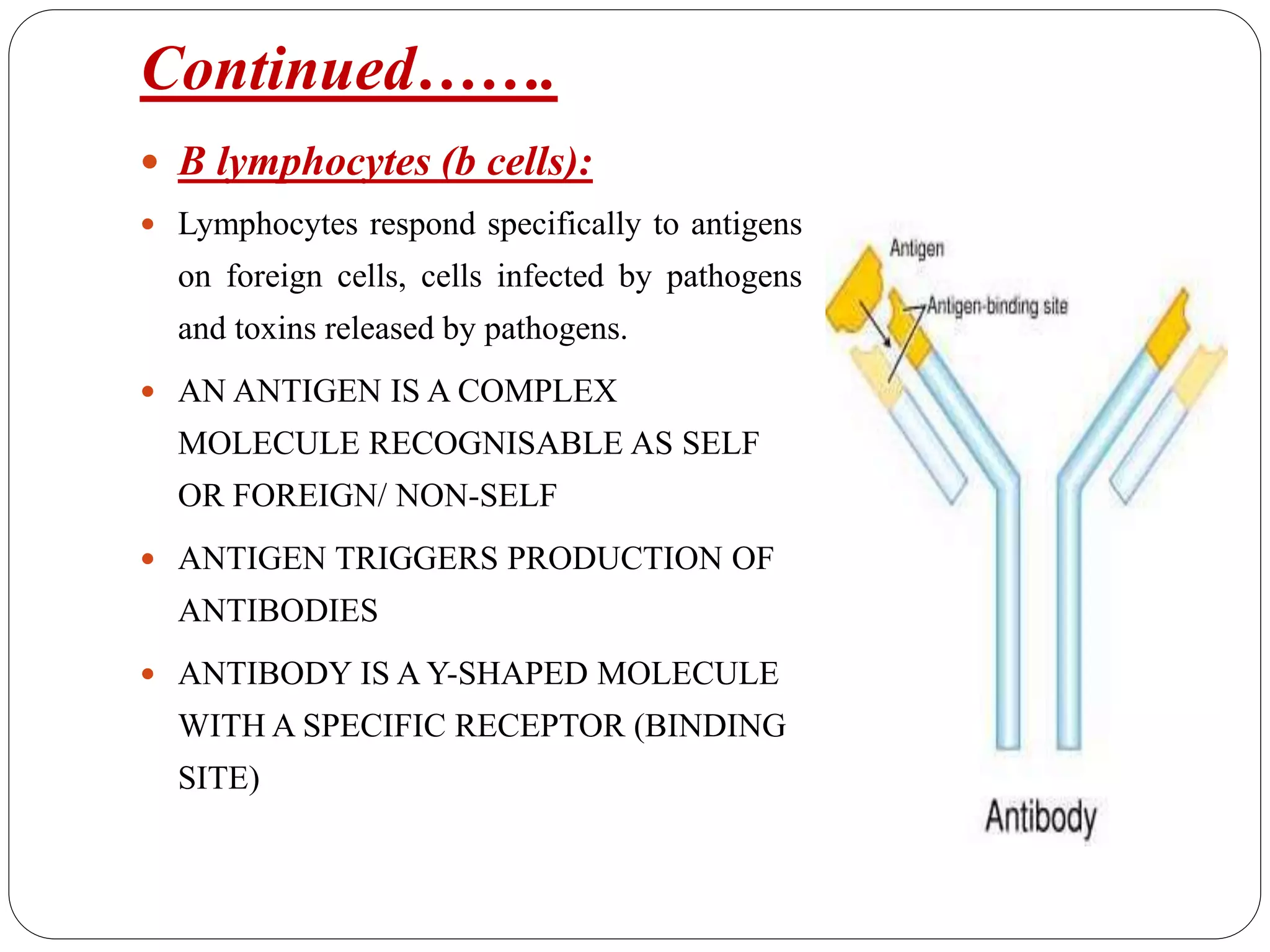 Clonal selection theory | PPTX