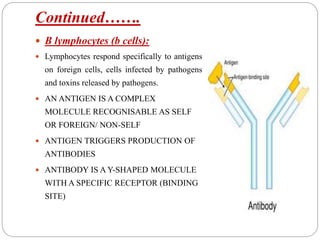 Clonal selection theory | PPTX