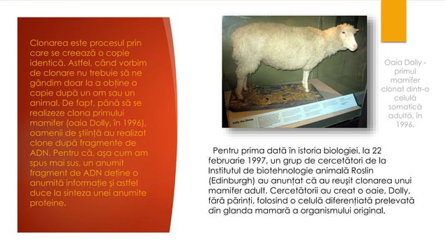 Clonarea.pptx