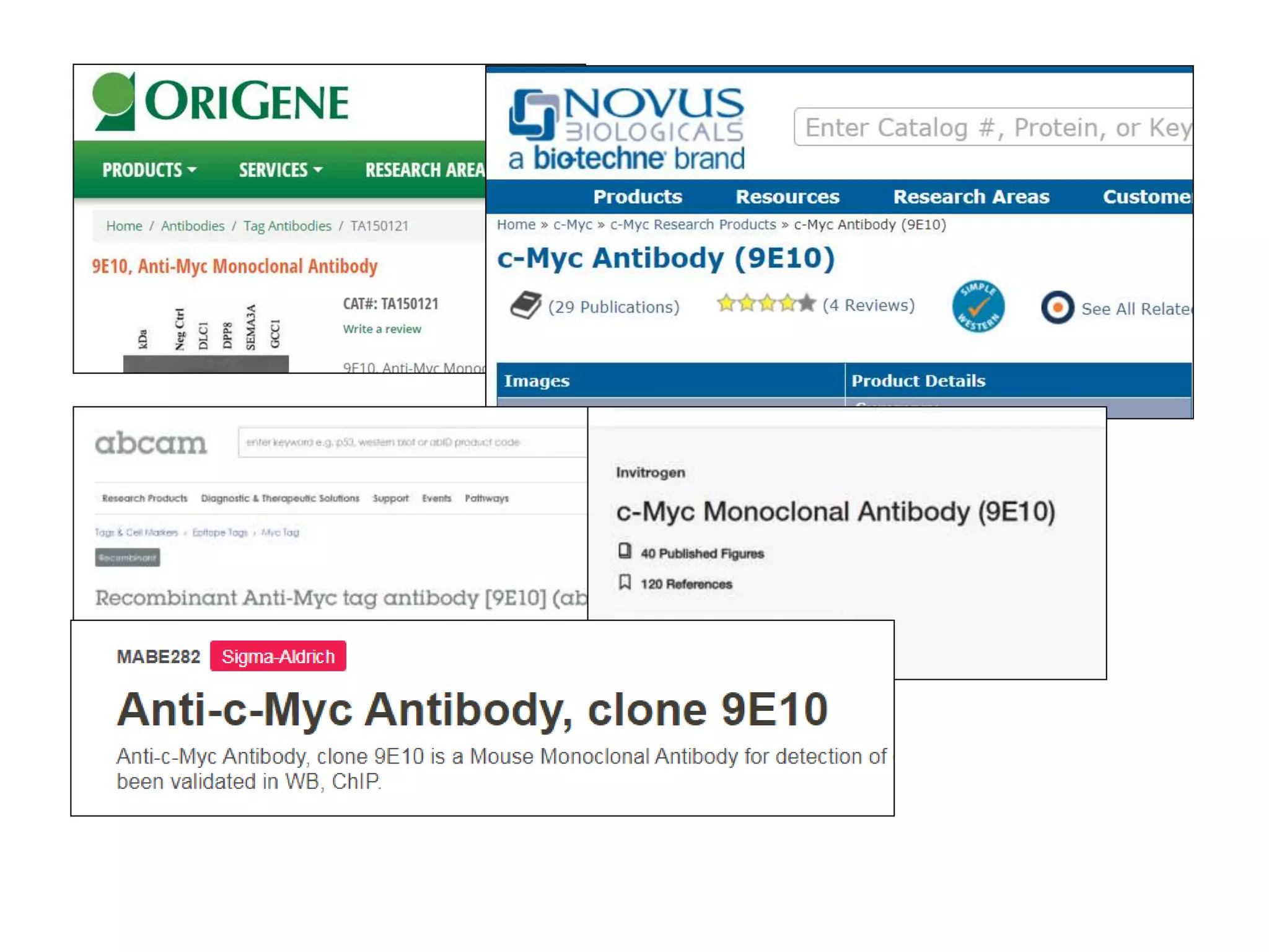 The Clone ID of Monoclonal Antibody | PPT