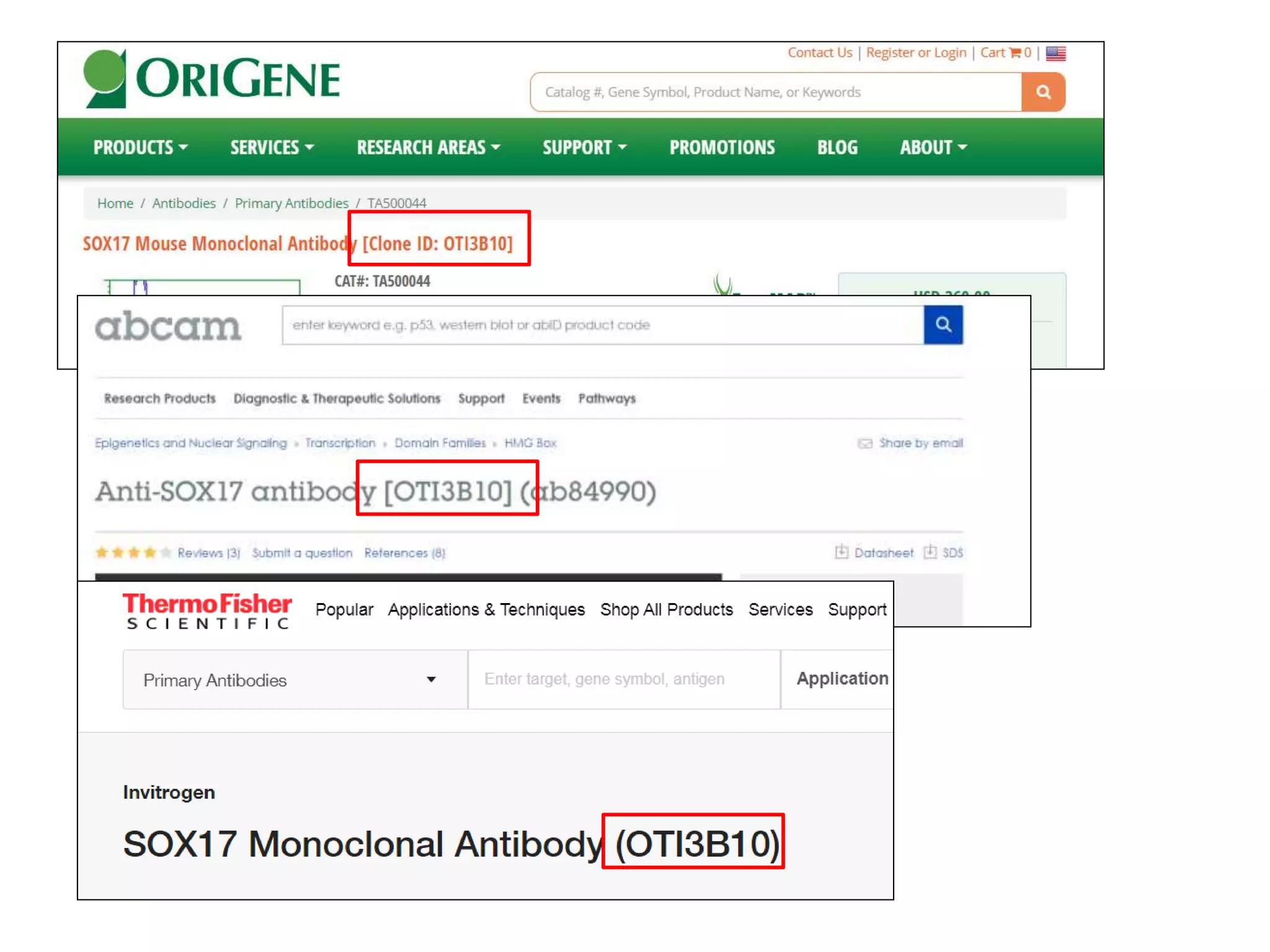 The Clone ID of Monoclonal Antibody | PPT