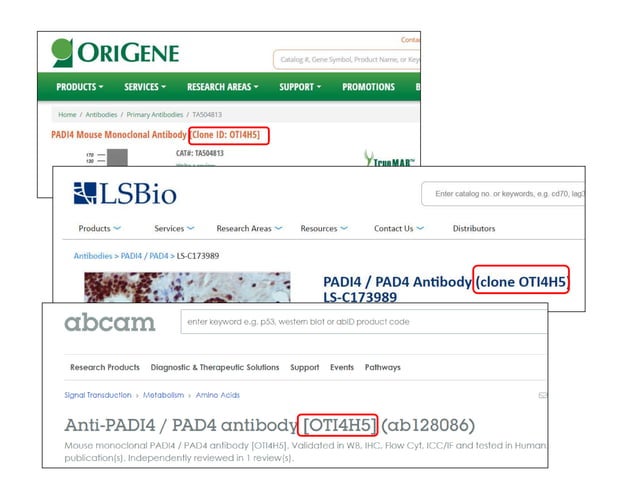 The Clone ID of Monoclonal Antibody | PPT