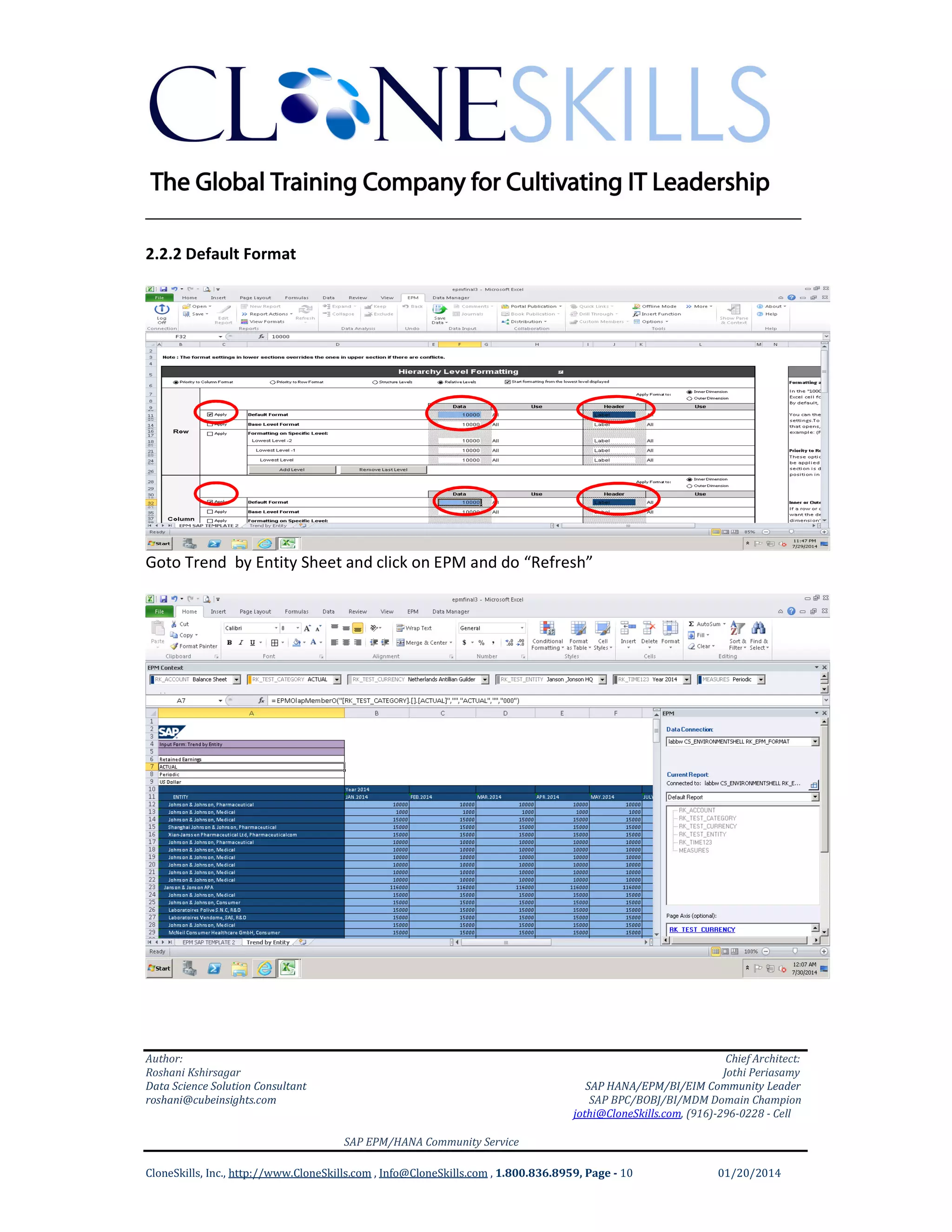 Step By Step Guide To Formatting The Sap Bpc Epm Sheet Pdf