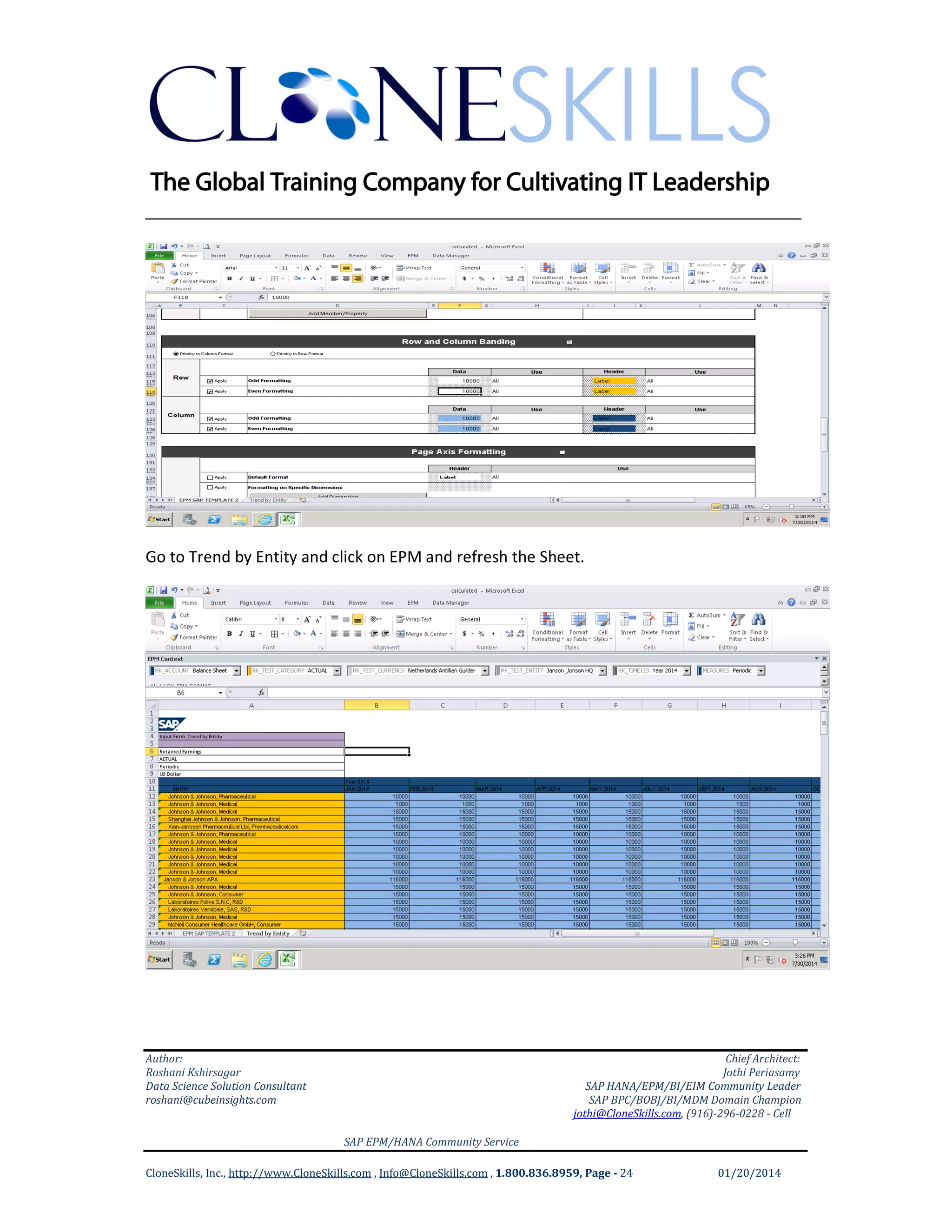 Step By Step Guide To Formatting The Sap Bpc Epm Sheet Pdf