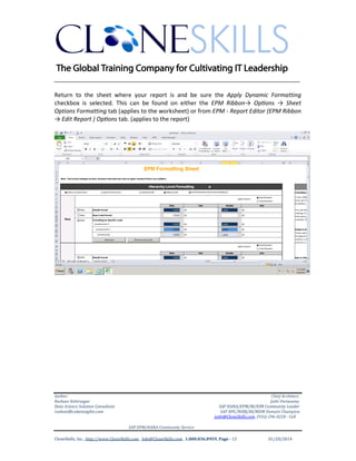 Step by step guide to formatting the SAP BPC EPM Sheet | PDF