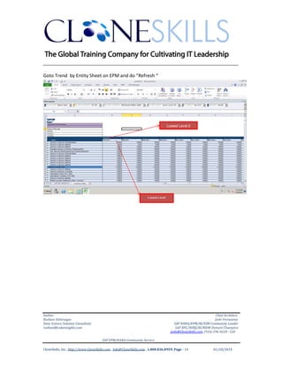 Step by step guide to formatting the SAP BPC EPM Sheet | PDF