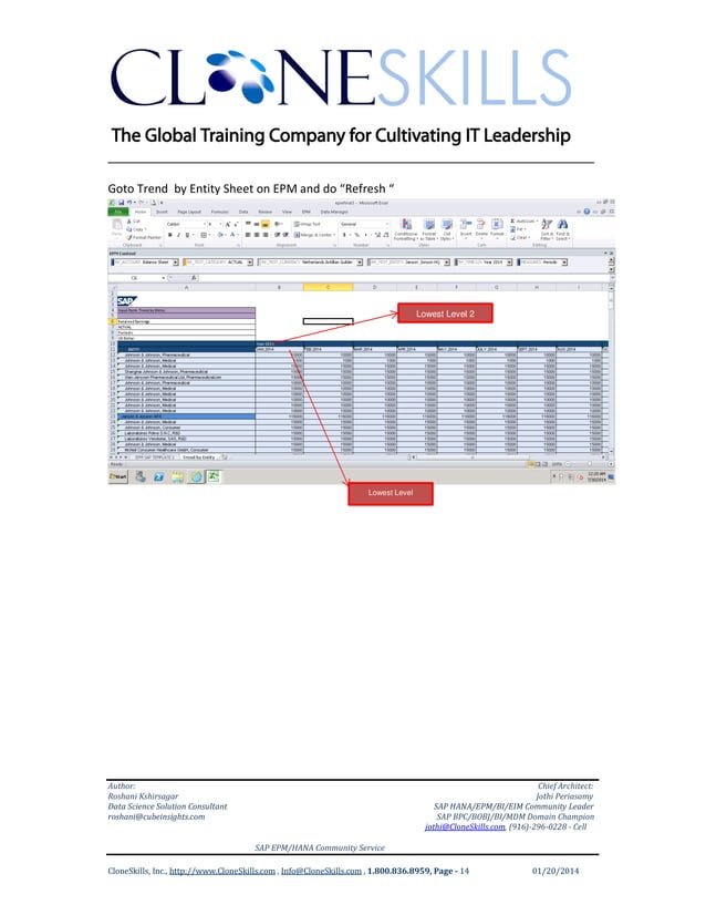 Step by step guide to formatting the SAP BPC EPM Sheet | PDF