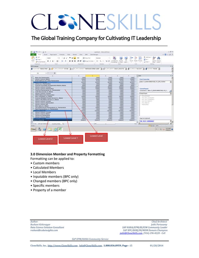 Step by step guide to formatting the SAP BPC EPM Sheet | PDF